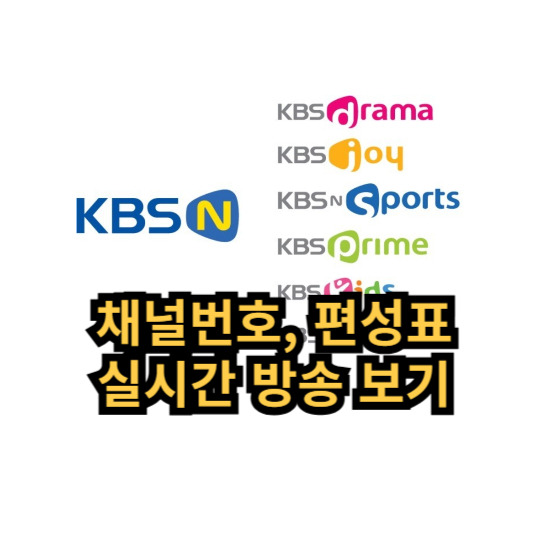 KBS N 채널번호 편성표 실시간 생방송 온에어 KBS DRAMA, KBS JOY, KBS SPORTS, KBS STORY, KBS KIDS, KBS LIFE