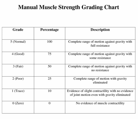 하부승모근(lower trapezius) 근력평가MMT (muscle manual test) :: Conditioning ...