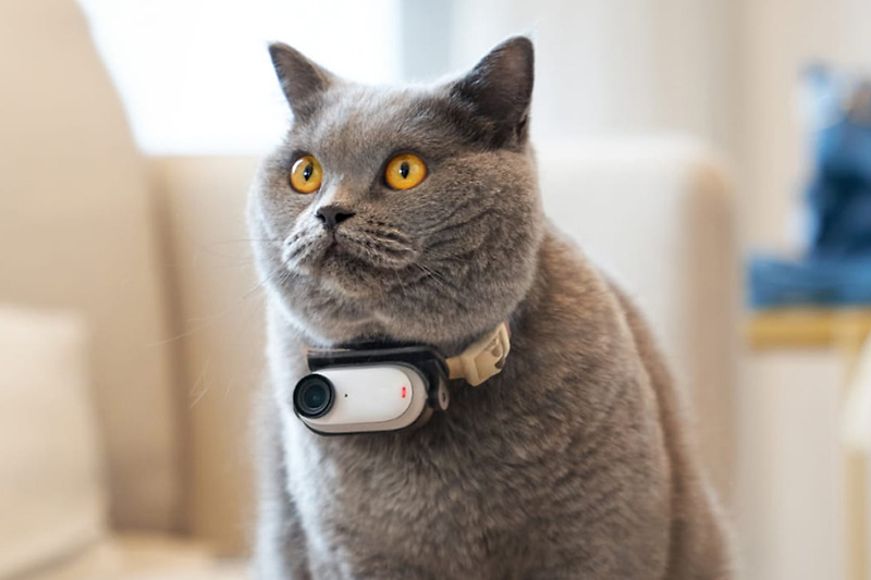 35g 무게 액션캠 인스타360 GO 3 스펙과 가격 살펴보니