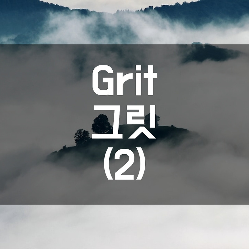 그릿 Grit 재능이 아니라 열정과 끈기 (2)