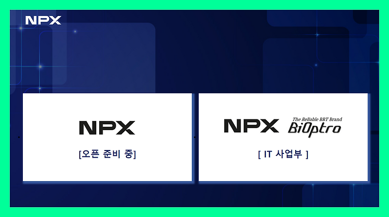 엔피엑스 NPX (222160) 주권매매거래정지기간변경(상장적격성 실질심사 대상 결정) 주식 주가 차트 시세 공시 시세 거래소