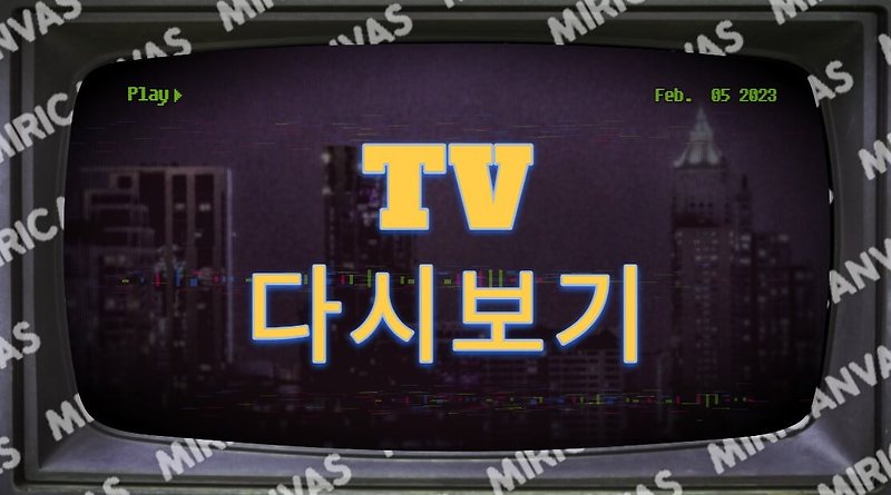 TV다시보기