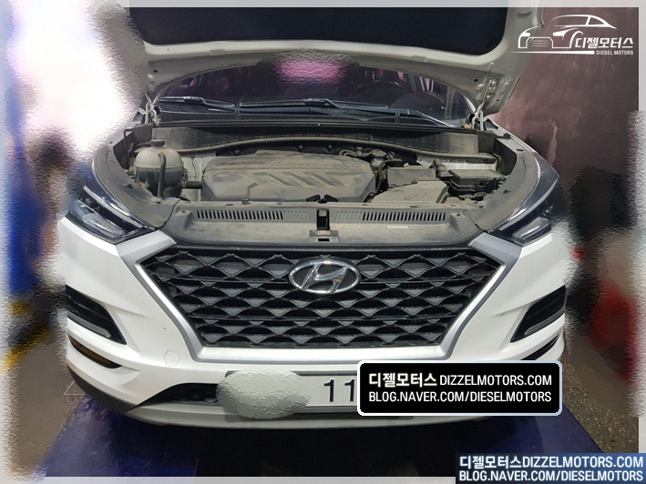 싼타페/엔진체크등 점등 증상 방문-DPF 탈거 클리닝,BBN 카본 수소 클리닝