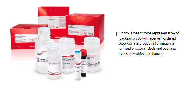 Glutamate Assay Kit (MAK004-1KT) 할인이벤트 (merck sigma)