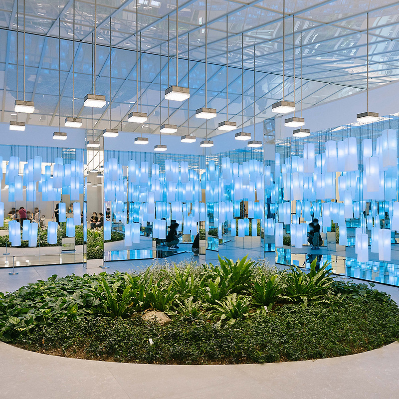 감각을 깨우는 한여름 밤의 꿈, LIGHT HAUS