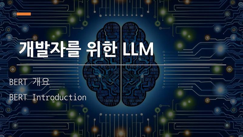 [개발자를 위한 LLM] BERT 개요