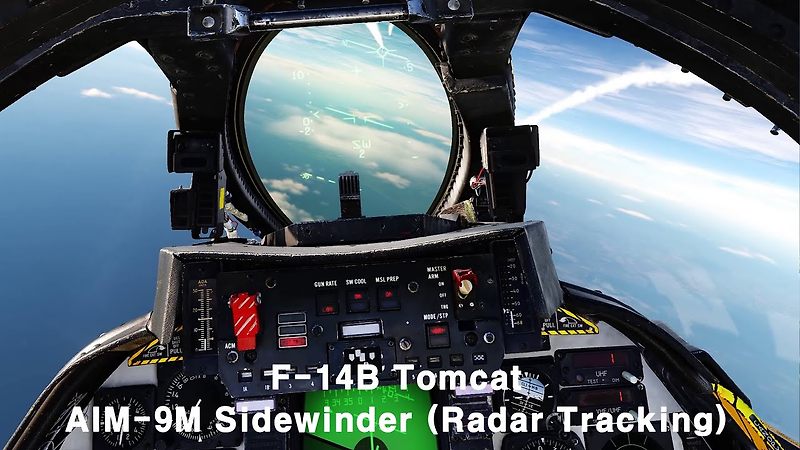 F-14B Tomcat AIM-9M Sidewinder (Radar Tracking) Guide