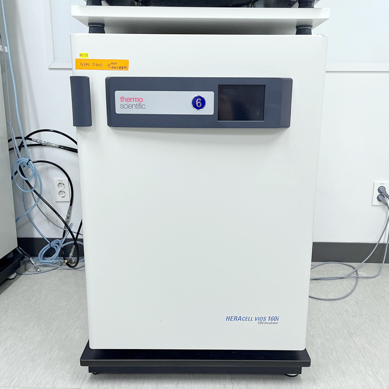 Thermo Scientific Heracell VIOS 160L Co2 Incubator (BC12)