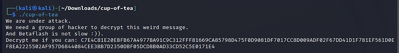 Tiny Encryption Algorithm 