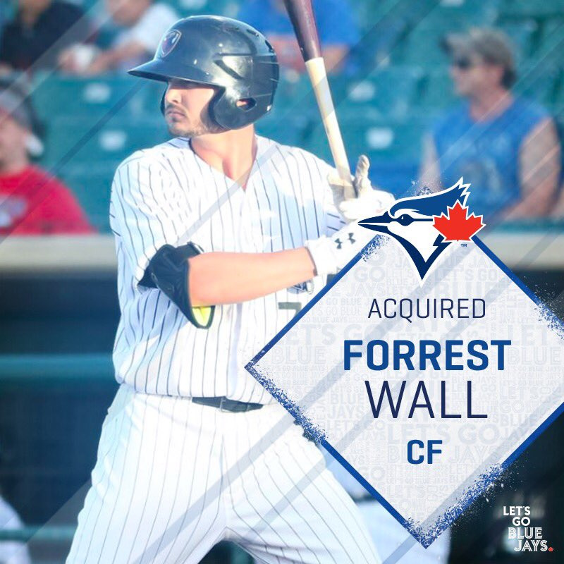 [BA] 포레스트 월 (Forrest Wall)의 2018년 스카우팅 리포트