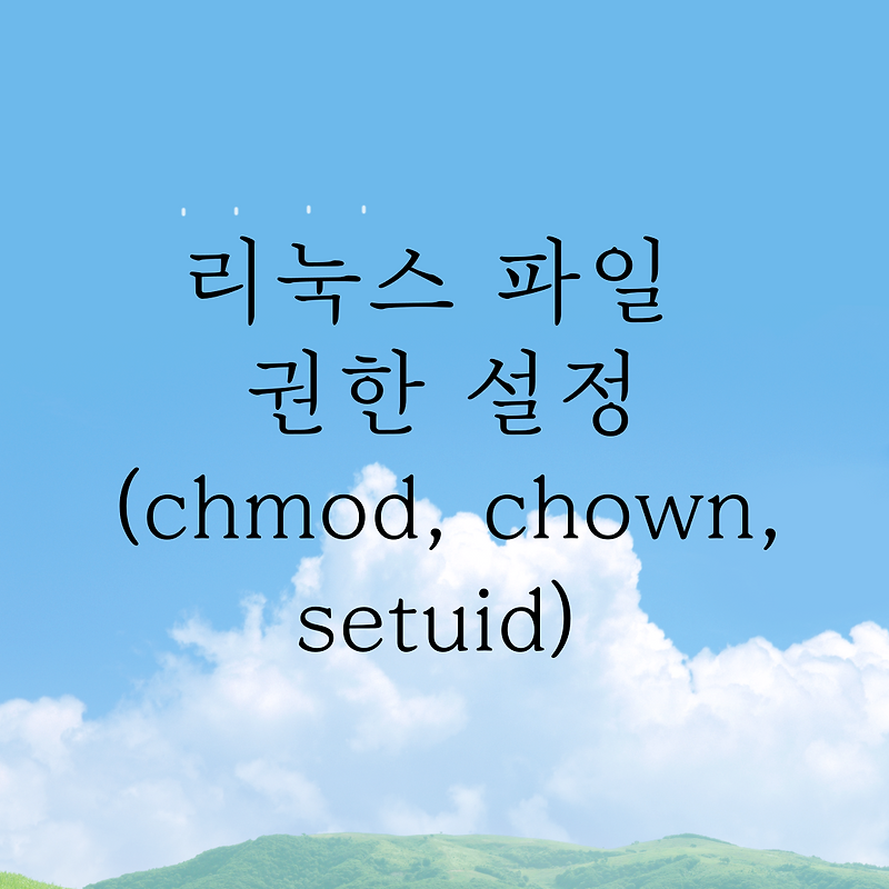 [Linux] 리눅스 파일 권한 설정(chmod, chown, setuid)