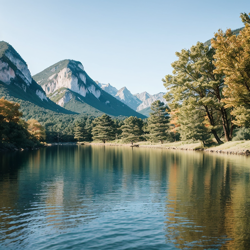 골드코스트 드림월드 - 【호주 골드 코스트 여행】 드림 월드 놀이기구 Steel Taipan 발매!!
