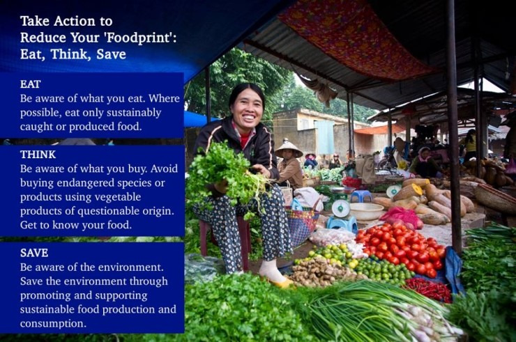 2013 세계 환경의 날 - Think Eat Save | 락앤락 - 중국 레스토랑과 음식물 싸가기 행사 공동 개최