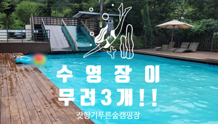 여름캠핑도 시원하게~!! 수영장만3개!! 잣향기푸른숲캠핑장