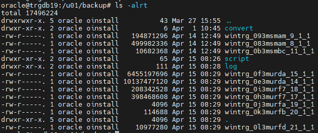 [Oracle] RMAN Recovery Database