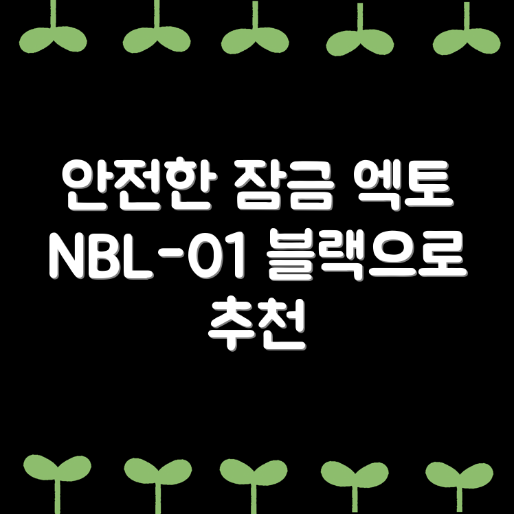 엑토 노트북 도난방지 잠금장치, NBL-01, 블랙 추천 리뷰