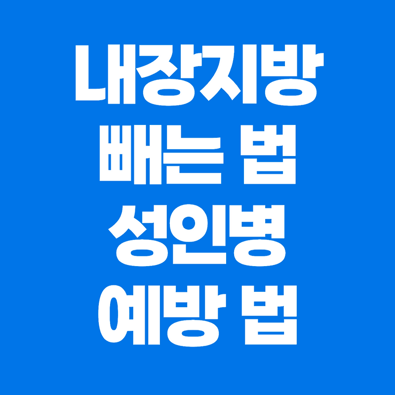 내장지방은 이렇게 관리하세요~ 내장지방 빼는법 건강해지는법 알려드립니다