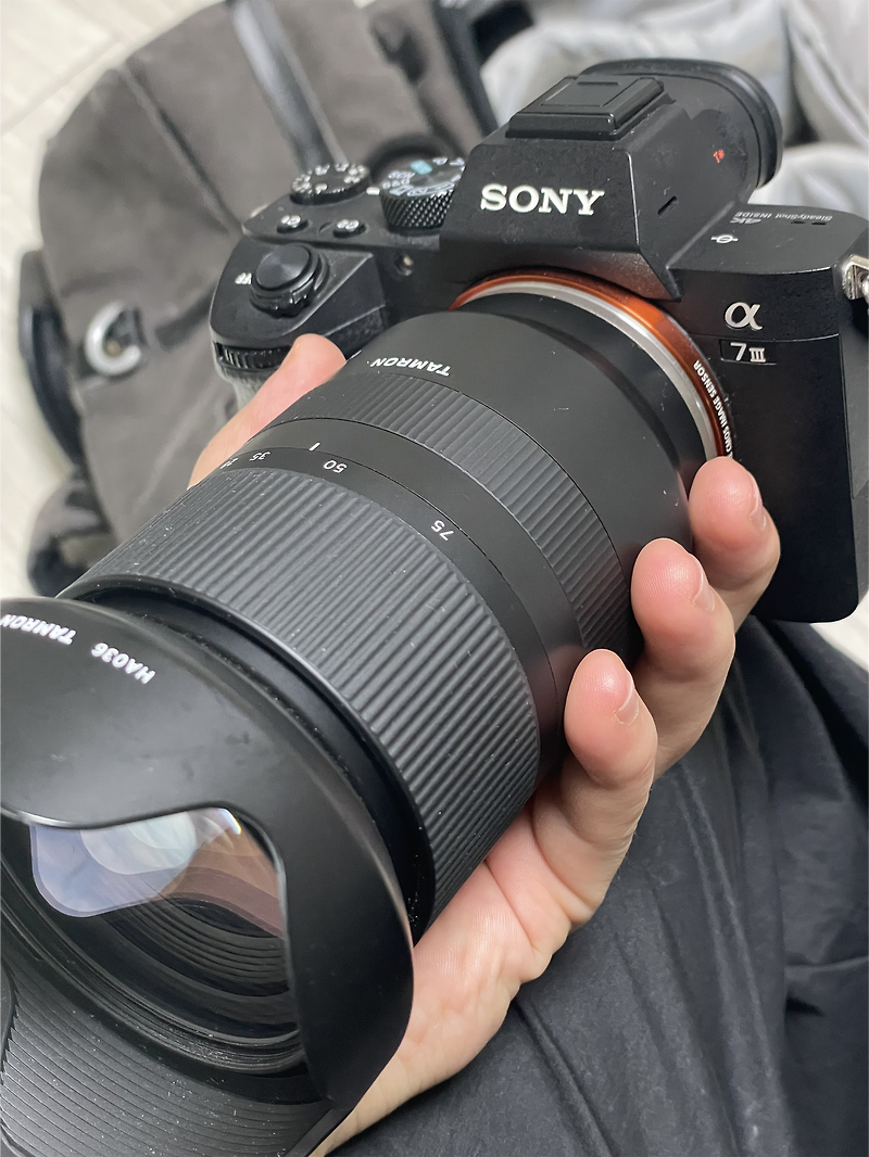Sony a7m3 - 소니 카메라, 카메라 고민 중인 사람들께