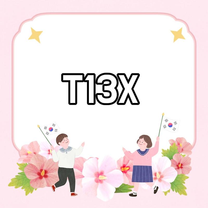 T13X 가성비 멀티페어링 이어폰 QCY 리뷰