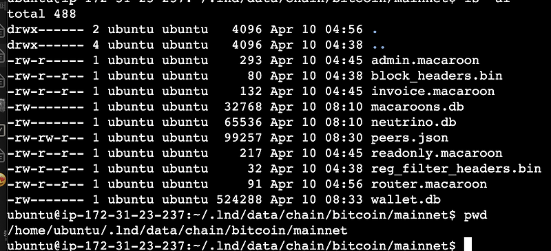 LND source build #2 wallet create