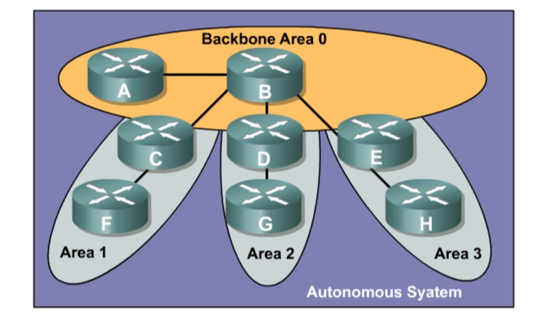OSPF Protocol (Open Shortest Path First Protocol)