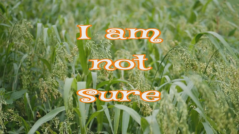 sure 뜻 해석 연습 초안 I am not sure