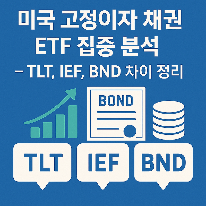 미국 고정이자 채권 ETF 집중 분석 – TLT, IEF, BND 차이 정리