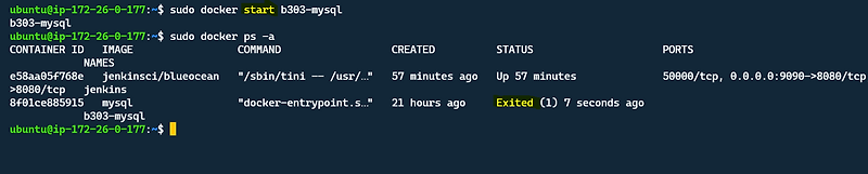 [ERROR] [MY-011087] [Server] Different lower_case_table_names settings for server ('1') and data ...