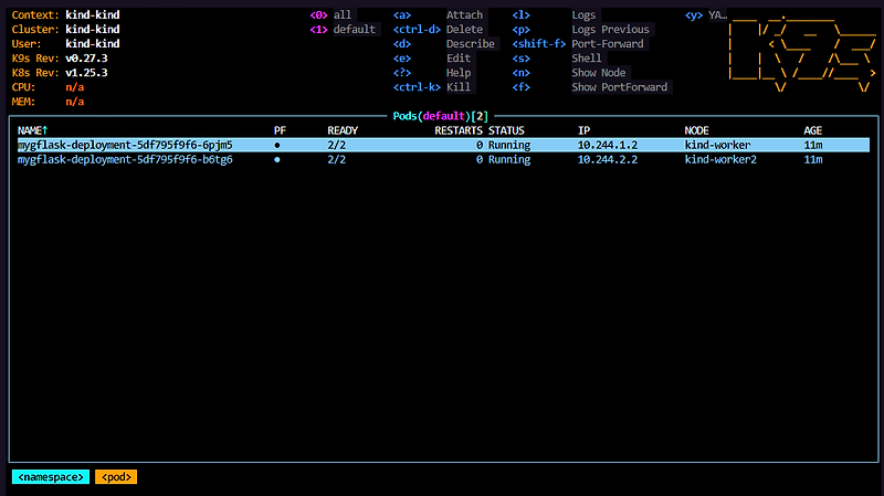 docker, k8s 네트워크 뜯기(5) - pod 내부의 container와 다른 pod 내부의 container는 어떻게 서로 통신할까?
