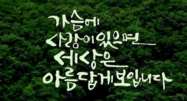 🐼 감사하며 살자ㅣ박민수 밤열차
