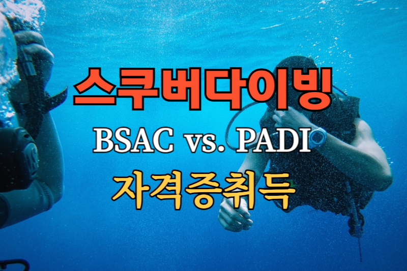스쿠버다이빙 자격증 취득 | BSAC PADI 차이