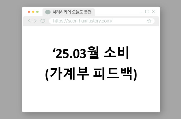 '25.03월 소비 결산 (feat. 2030 직장인 가계부)