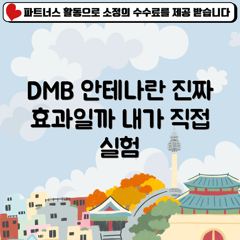 지향성 DMB 안테나, 정말 효과적일까요?