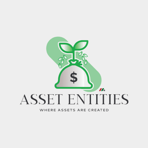 에셋 엔터티스(Asset Entities) 투자 분석: 소셜 미디어 및 디지털 마케팅 혁신 기업