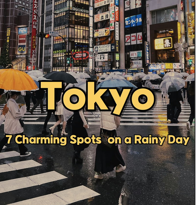 7 Charming Spots to Visit in Tokyo on a Rainy Day ☔️