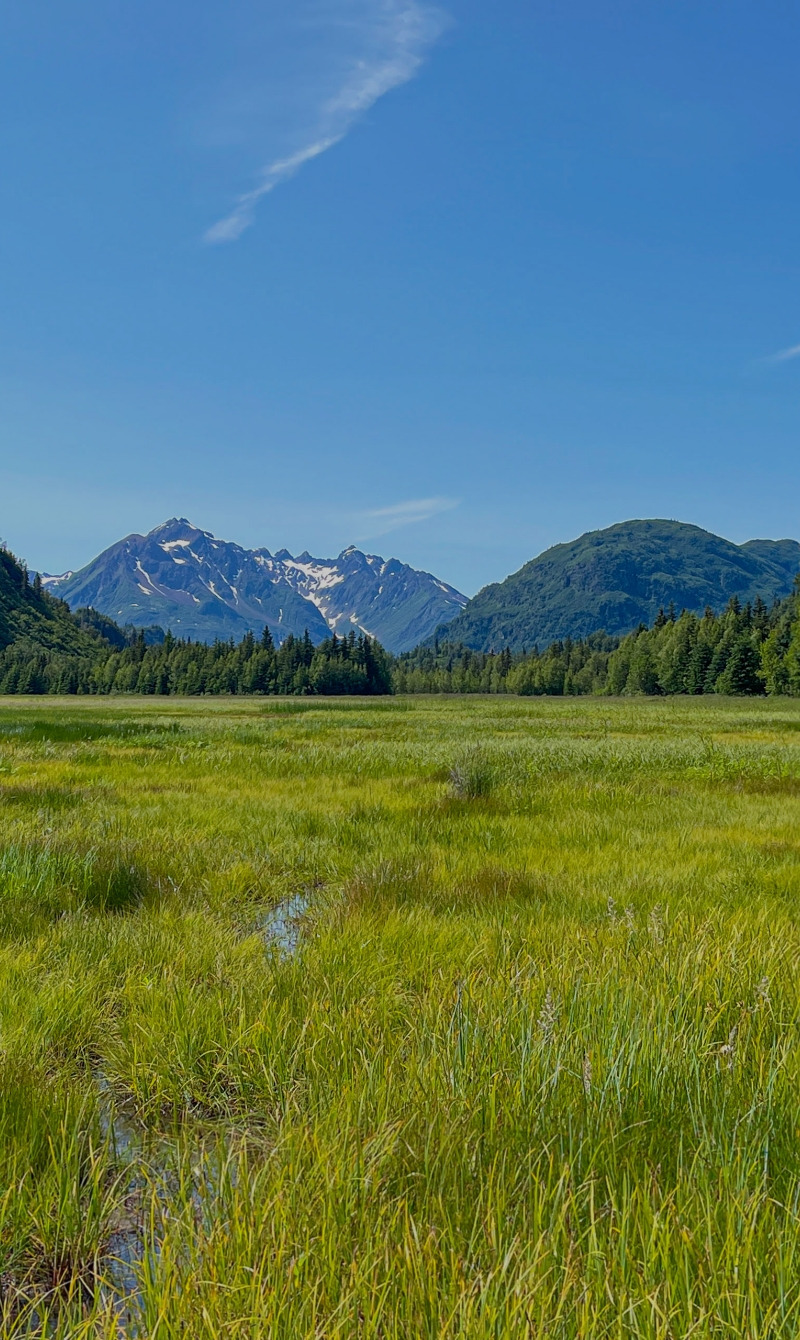 알레스카 레이크 클라크 국립공원