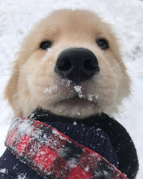 넌 바보 같은 날 사랑해줬잖아😋:Kayden - But You Love It (2020) [가사/해석/번역]