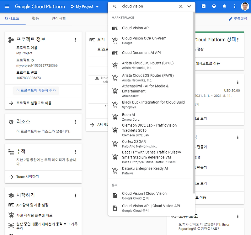 [GCP] Google Cloud Vision API 키 생성 및 저장하기