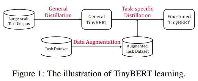 TinyBERT: Distilling BERT for Natural Language Understanding 논문 리뷰 ...