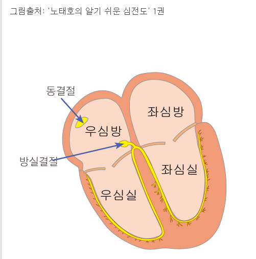 20231122 공부기록