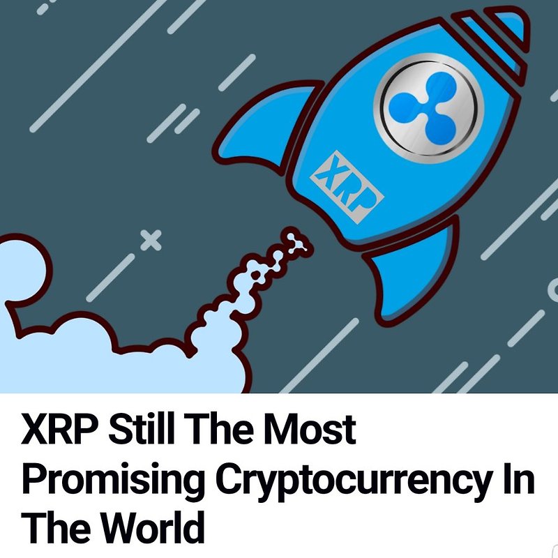 XRP는 현재 최고의 위험 - 보상이 될 수 있습니다. ️XRP가 $100에 도달하고 나중에 $500에 도달한다고 상상해보세요