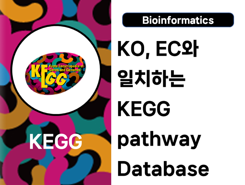 [KEGG] KO, EC번호를 kegg pathway와 매치시키는 법 KEGG annotation database — Bioinfo_newbie