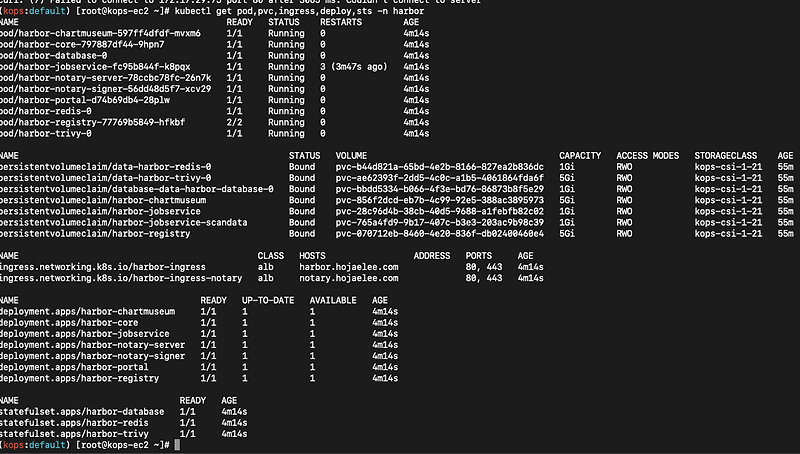 [가시다님] PKOS (AWS kOps) - 3주차 (harbor, gitops) — 기억력이 금붕어라