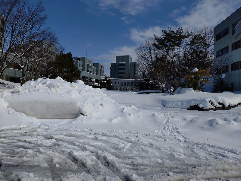 JAIST 생존일지 D+500(2/7) - 재밌는 인생