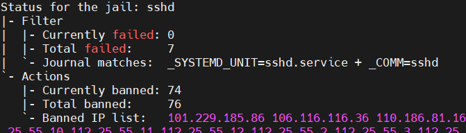 [Linux] Fail2Ban이 SSH 포트에서 동작하지 않는 이유와 트러블슈팅