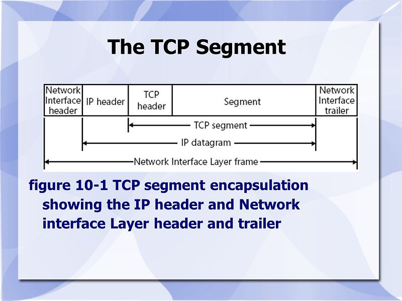 TCP 세그먼트란?