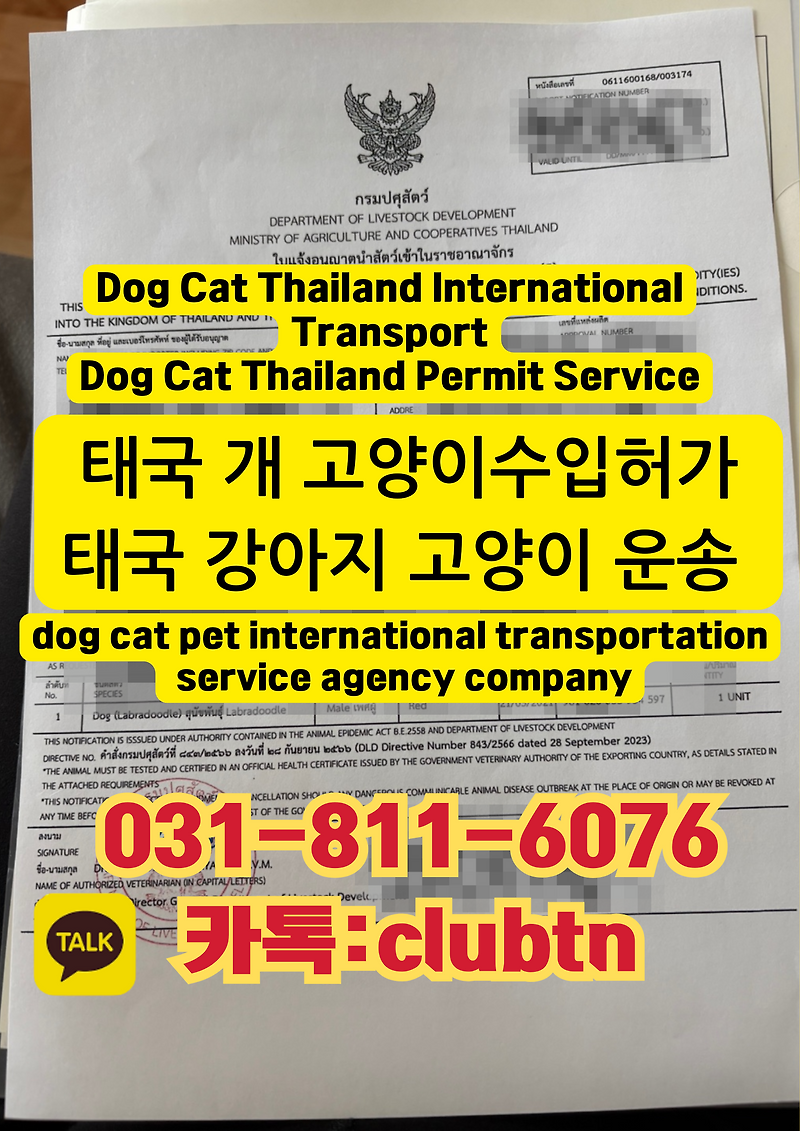 Dog Cat Thailand International Transport Dog Cat Thailand Permit ...