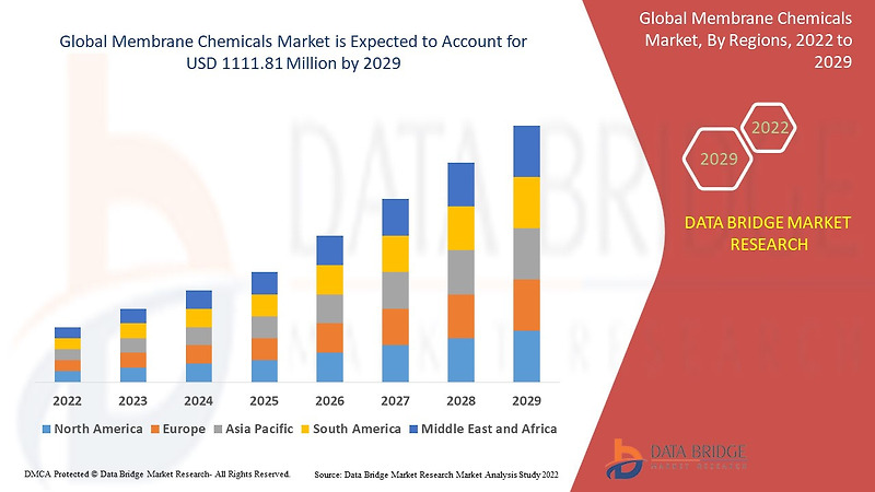 Membrane Chemicals Market Outlook Research Report, Trends, Growth and ...