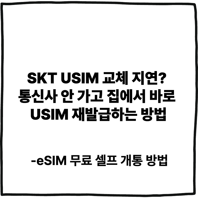SKT USIM 교체 지연? 통신사 안 가고 집에서 바로 USIM 재발급하는 방법