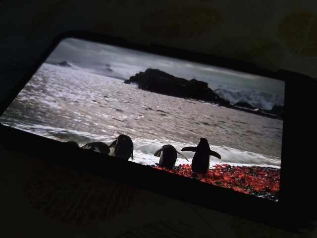 EP02. SKT 5G MAX feat. oksusu :: SEIGiA iN LiFETIME